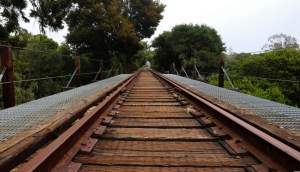 Lookout PM: The train debate continues, Gooder Foods recalls mac-and ...