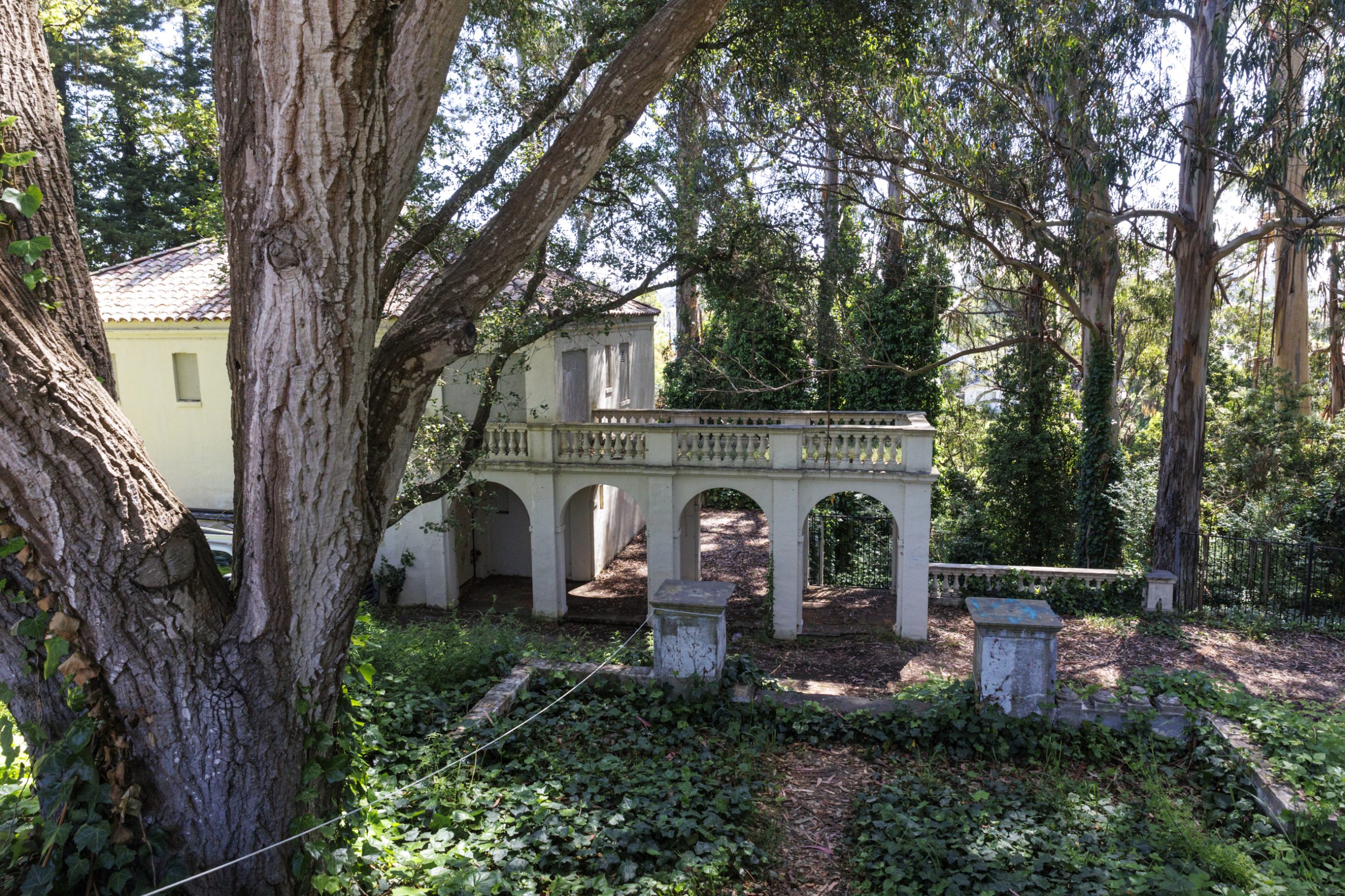 Morning Lookout: West Cliff Drive update, local athletes heading to ...