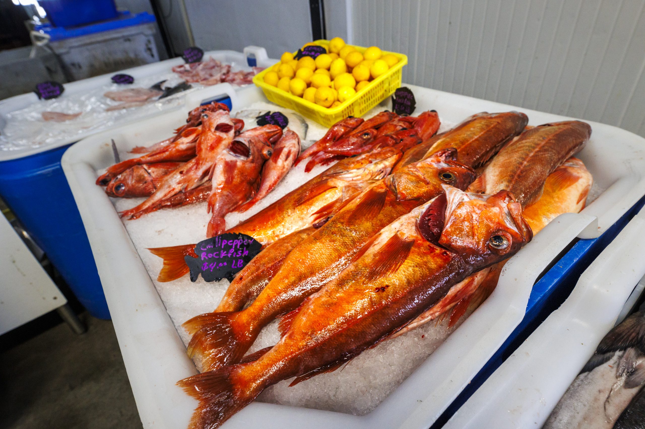 Morning Lookout: Murray Street Bridge project ripple effects; Westside ...