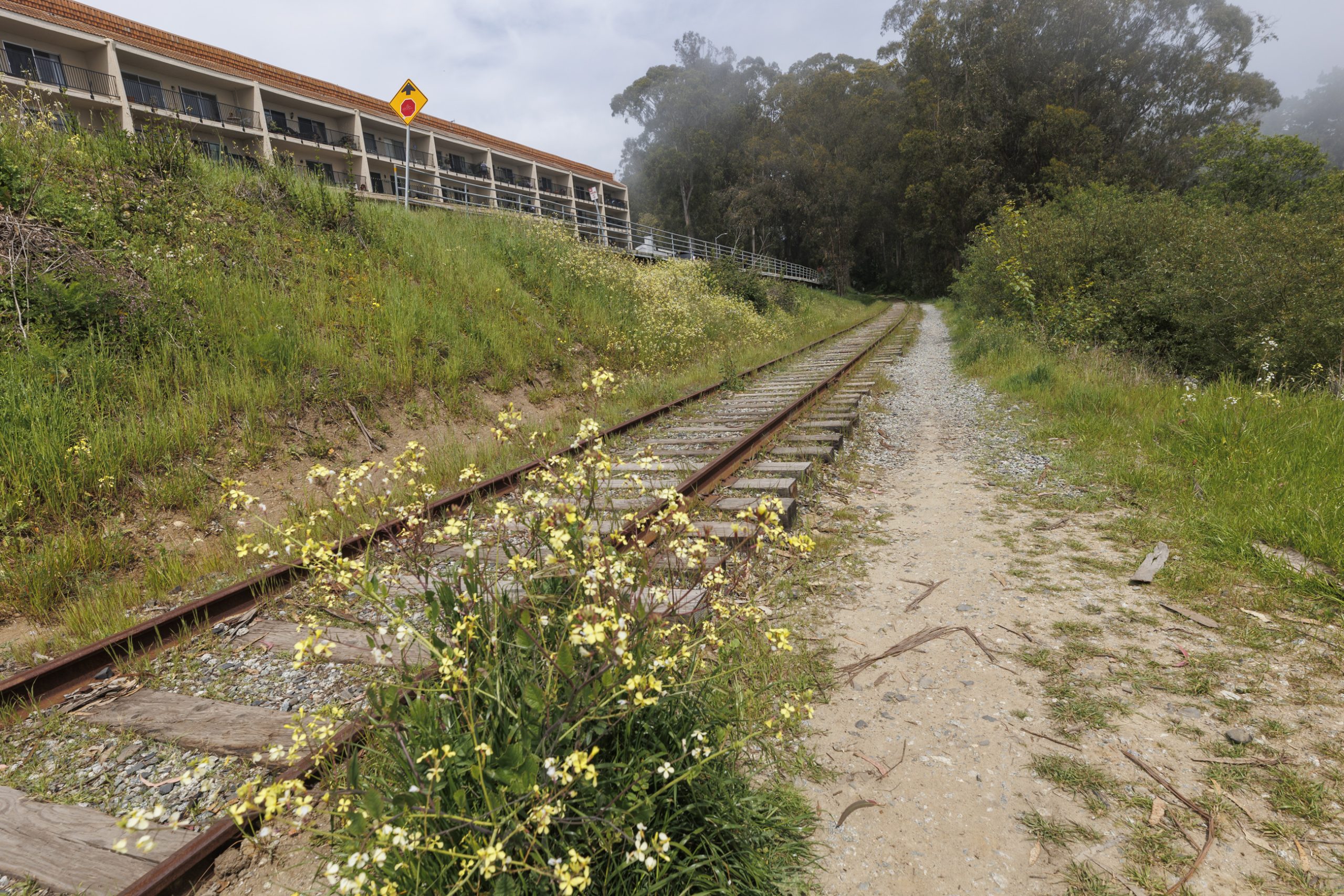 RTC narrowly approves Keeley-Koenig ‘peace deal’ proposal to build ...