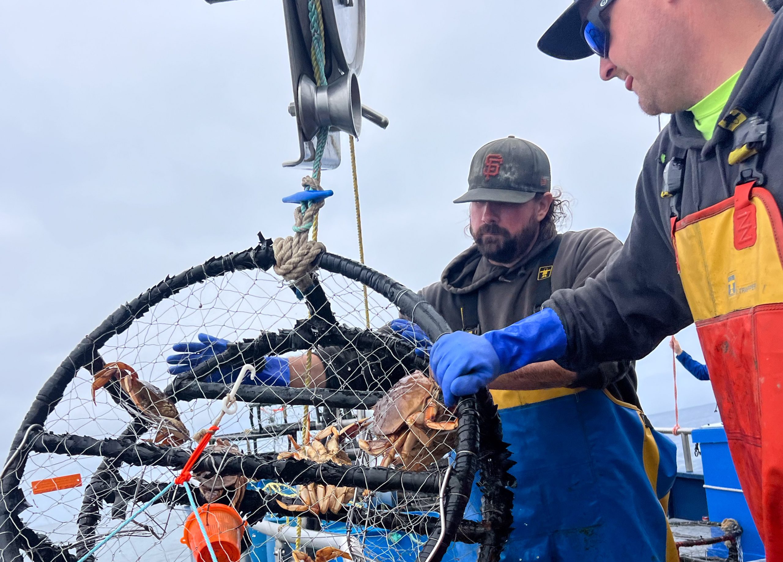 Lily Belli on Food: Hope in pop-up crab traps; local's canning how-to ...