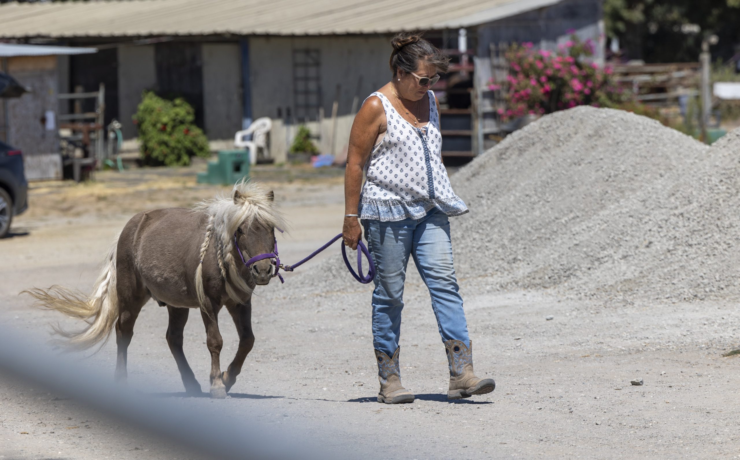 Santa Cruz horse stable faces eviction as UCSC acquires coastal land ...