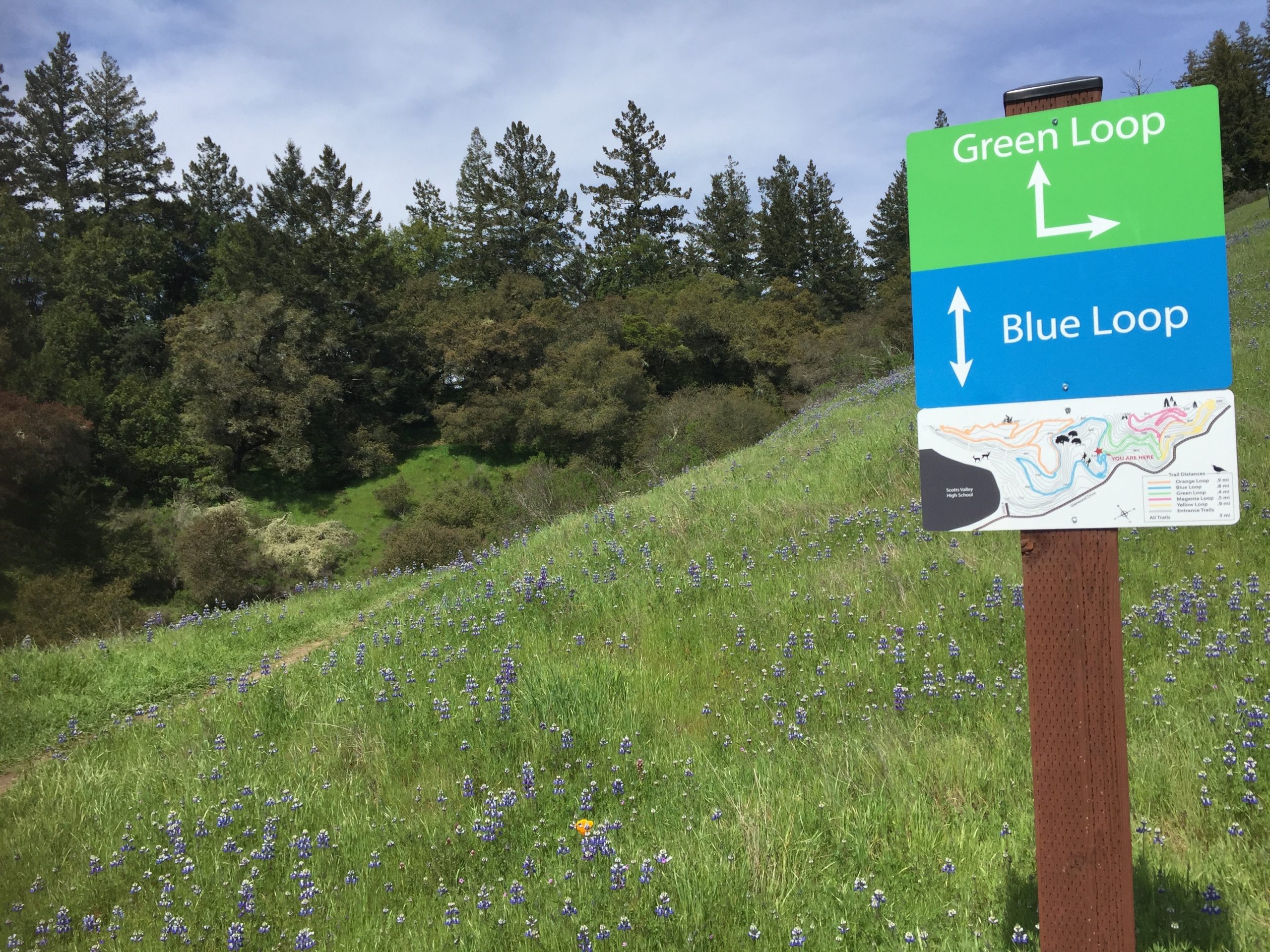 What does it mean to protect land forever? - Lookout Santa Cruz