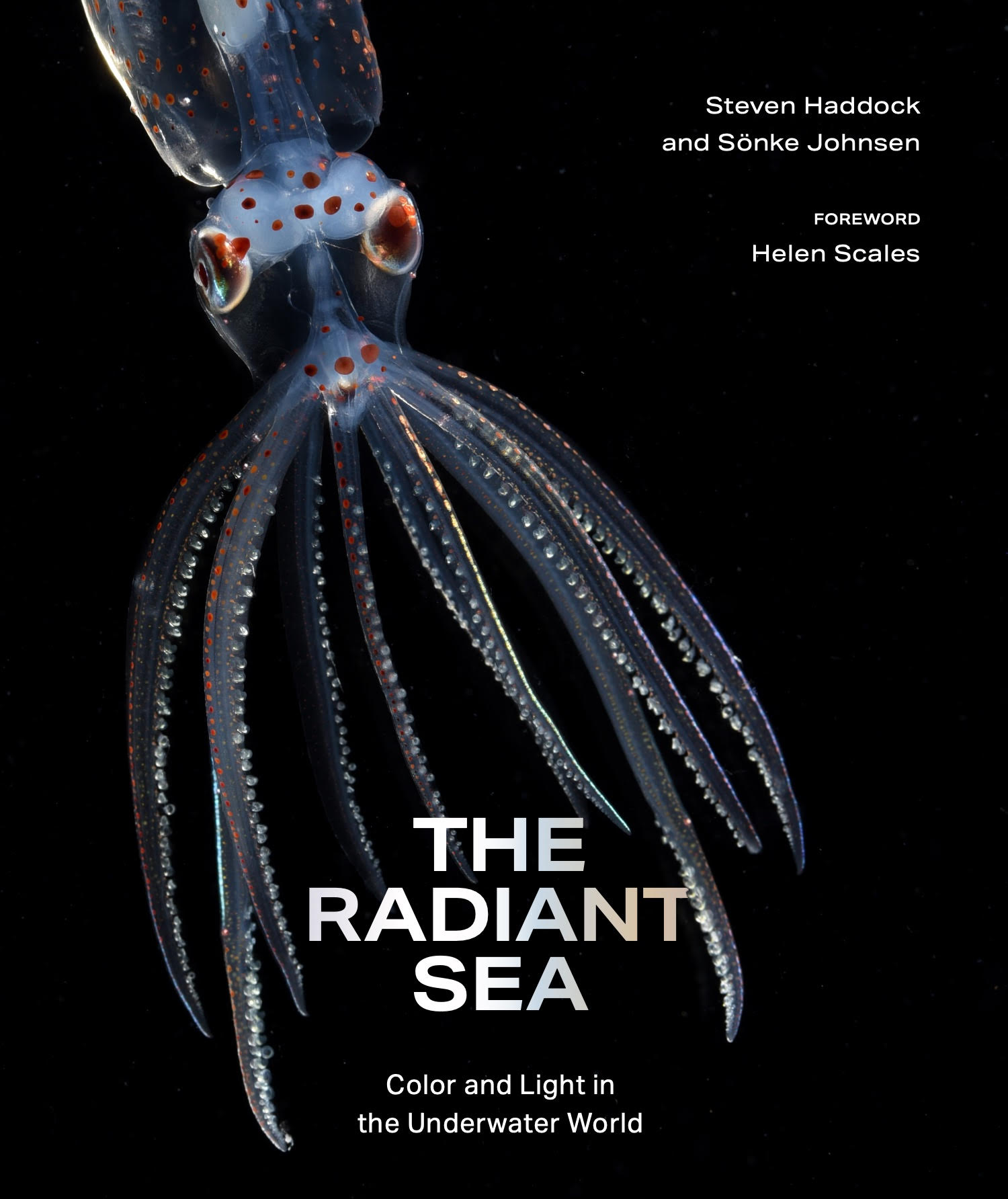 Exploring hidden light: Steven Haddock brings ocean’s radiant secrets ...